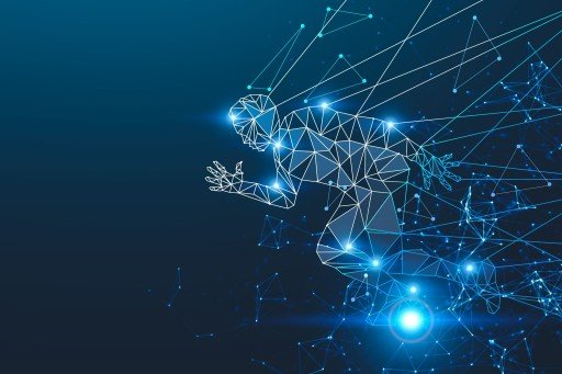 Digital, Marketing & Business Consultants to Sports Industry